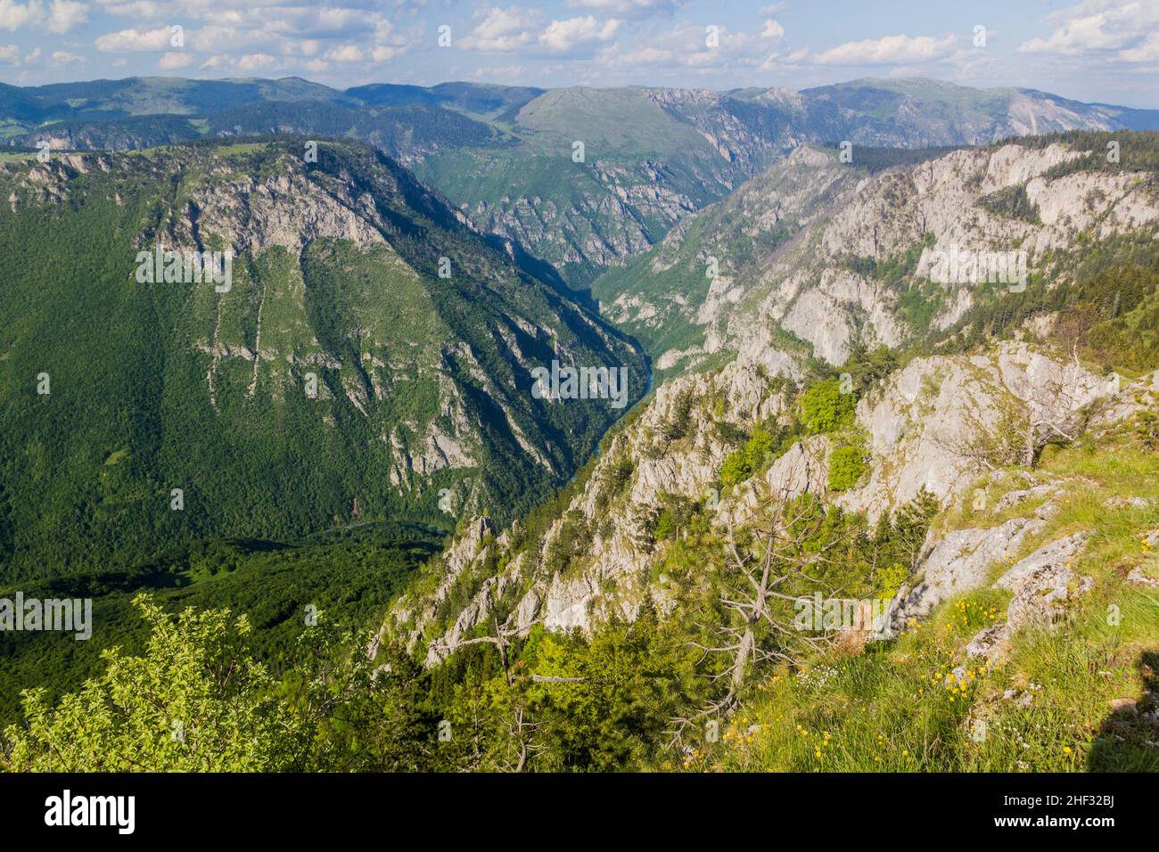 View of Tara canyon, Montenegro Stock Photo - Alamy