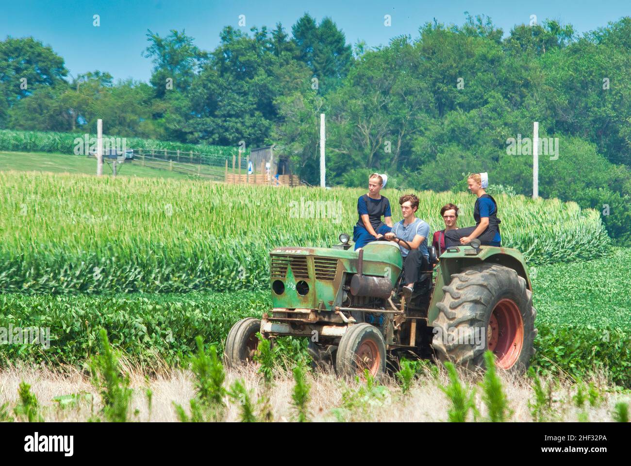 Ronks, Pennsylvania, July 2021 - Amish Boy and Girl Teenagers Riding on ...