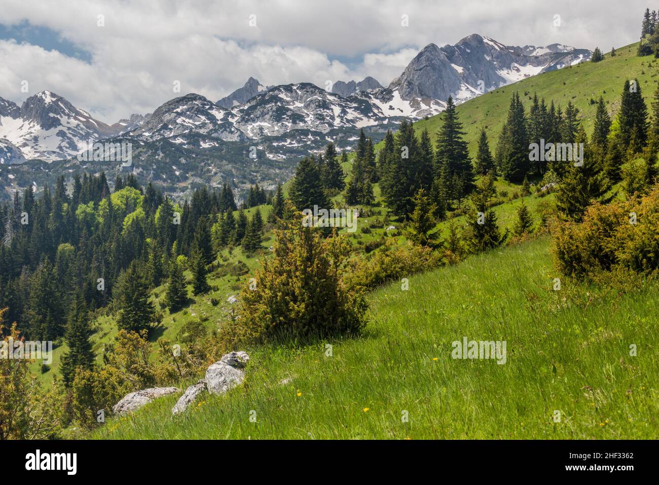 Landscape of Durmitor mountains, Montenegro Stock Photo - Alamy