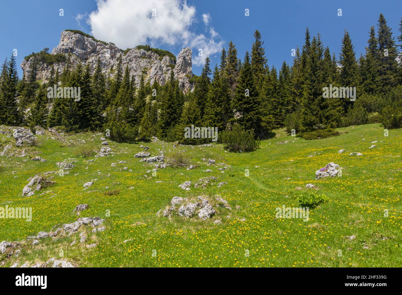 Landscape of Durmitor mountains, Montenegro Stock Photo - Alamy