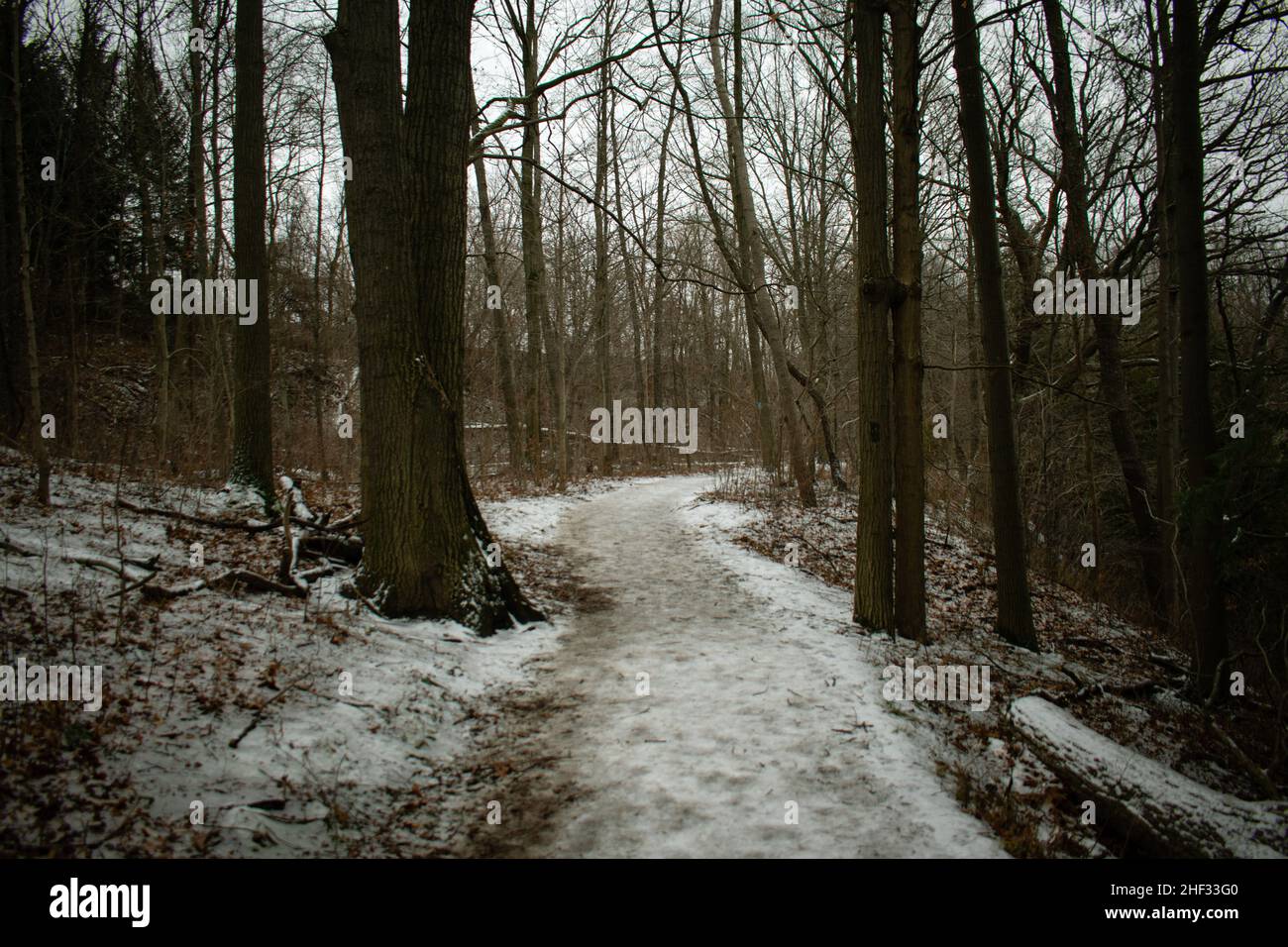 Hiking through a forest on a wintry day in December on a snow-covered ...