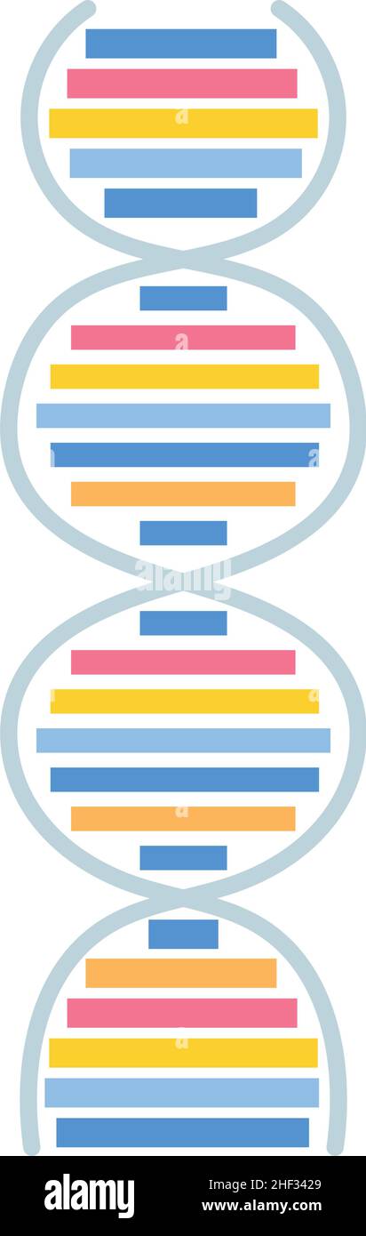 dna strand icon on white background Stock Vector Image & Art - Alamy