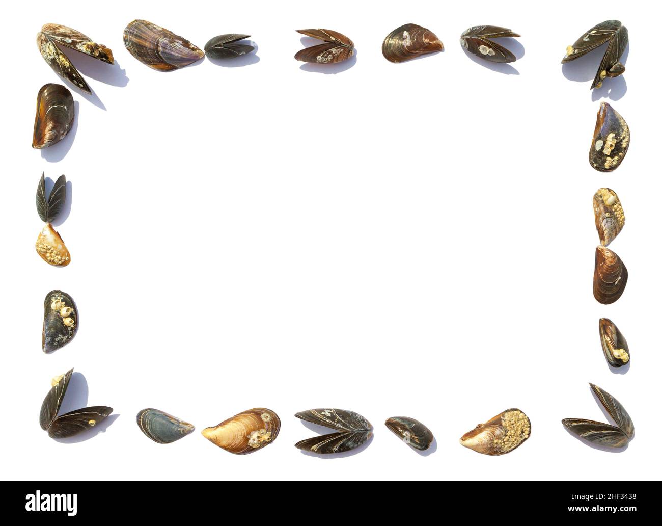 Summer tropical concept border Cut Out Stock Images & Pictures - Alamy