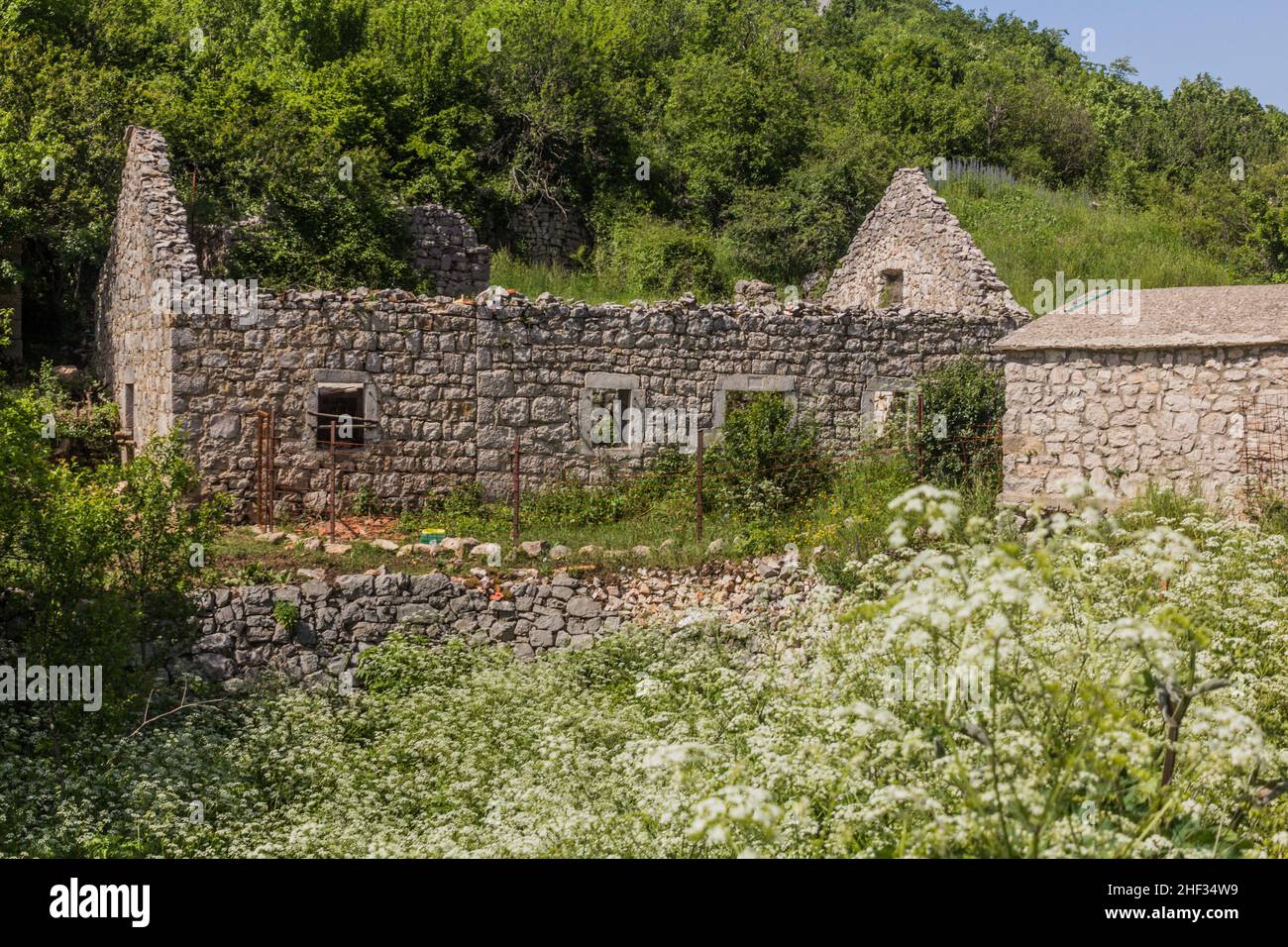 Ruined construction in forest hi-res stock photography and images - Alamy