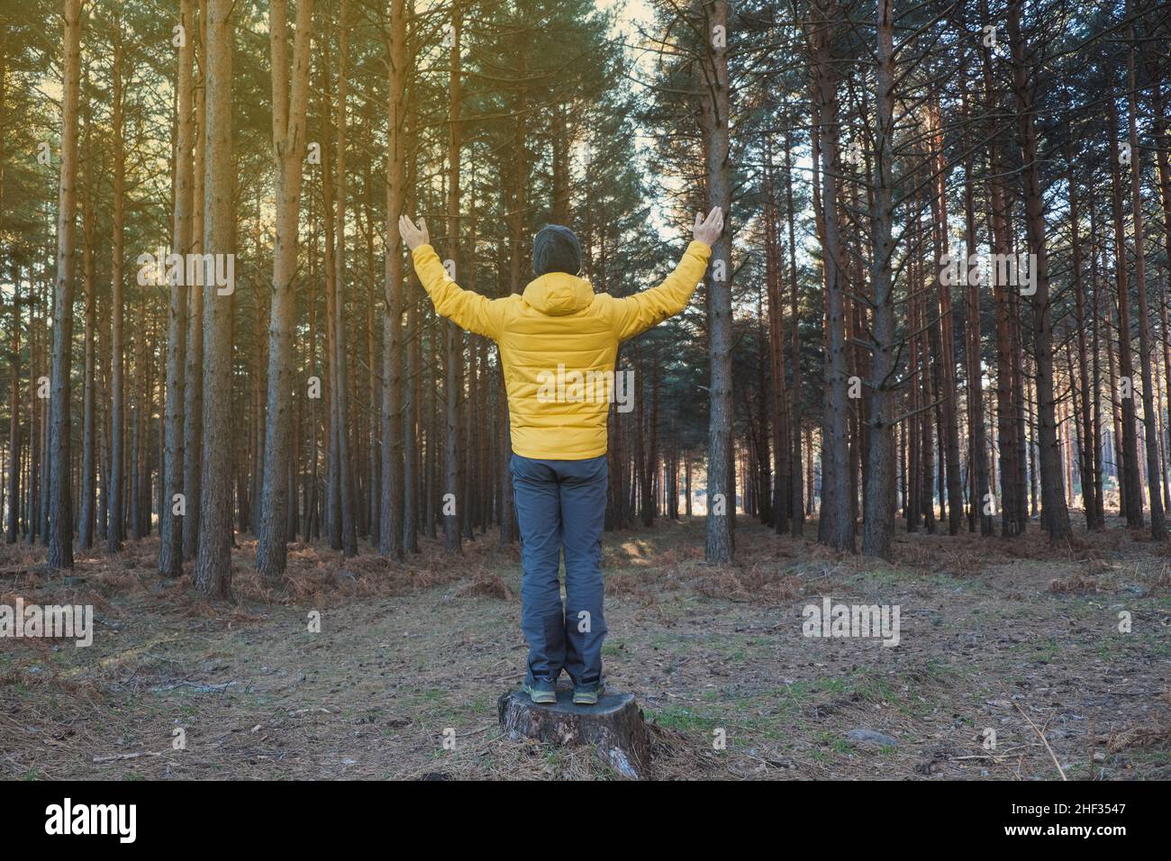 Man on his back raising his arms in the forest Stock Photo - Alamy