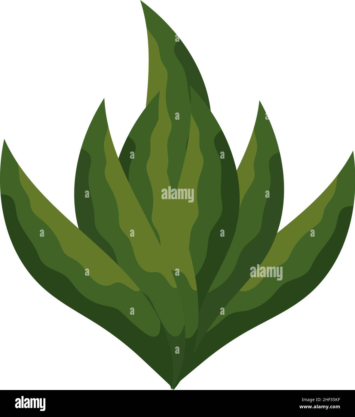 aloe leaves icon on white background Stock Vector Image & Art - Alamy