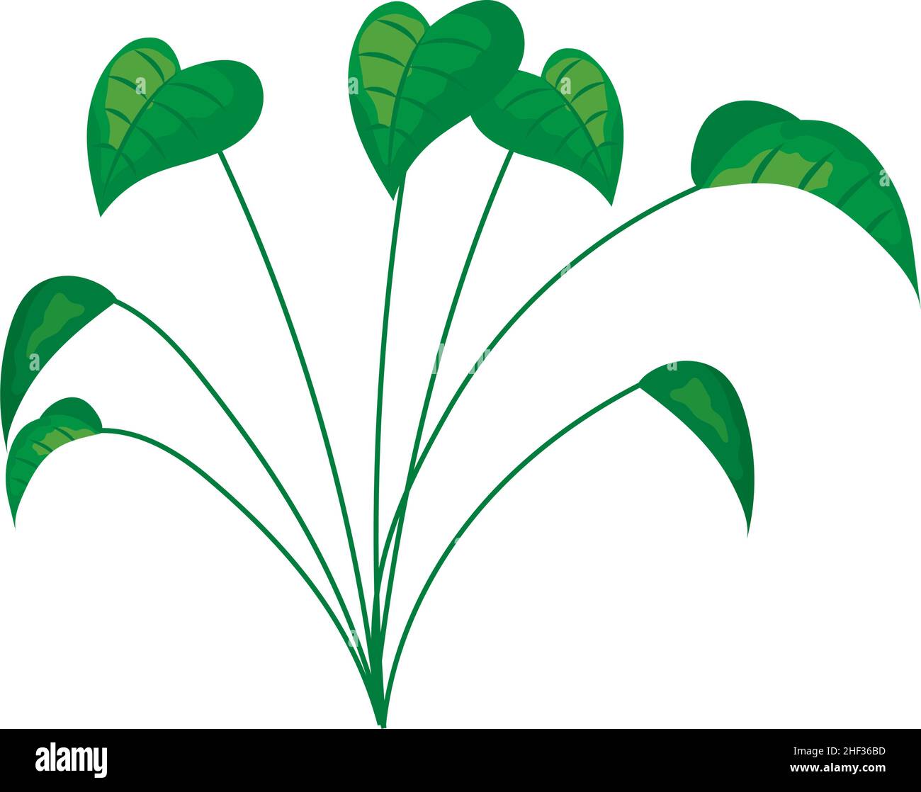 pothos plant icon on white background Stock Vector Image & Art - Alamy