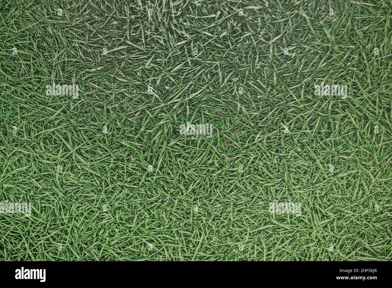Abstract grass texture hi-res stock photography and images - Alamy