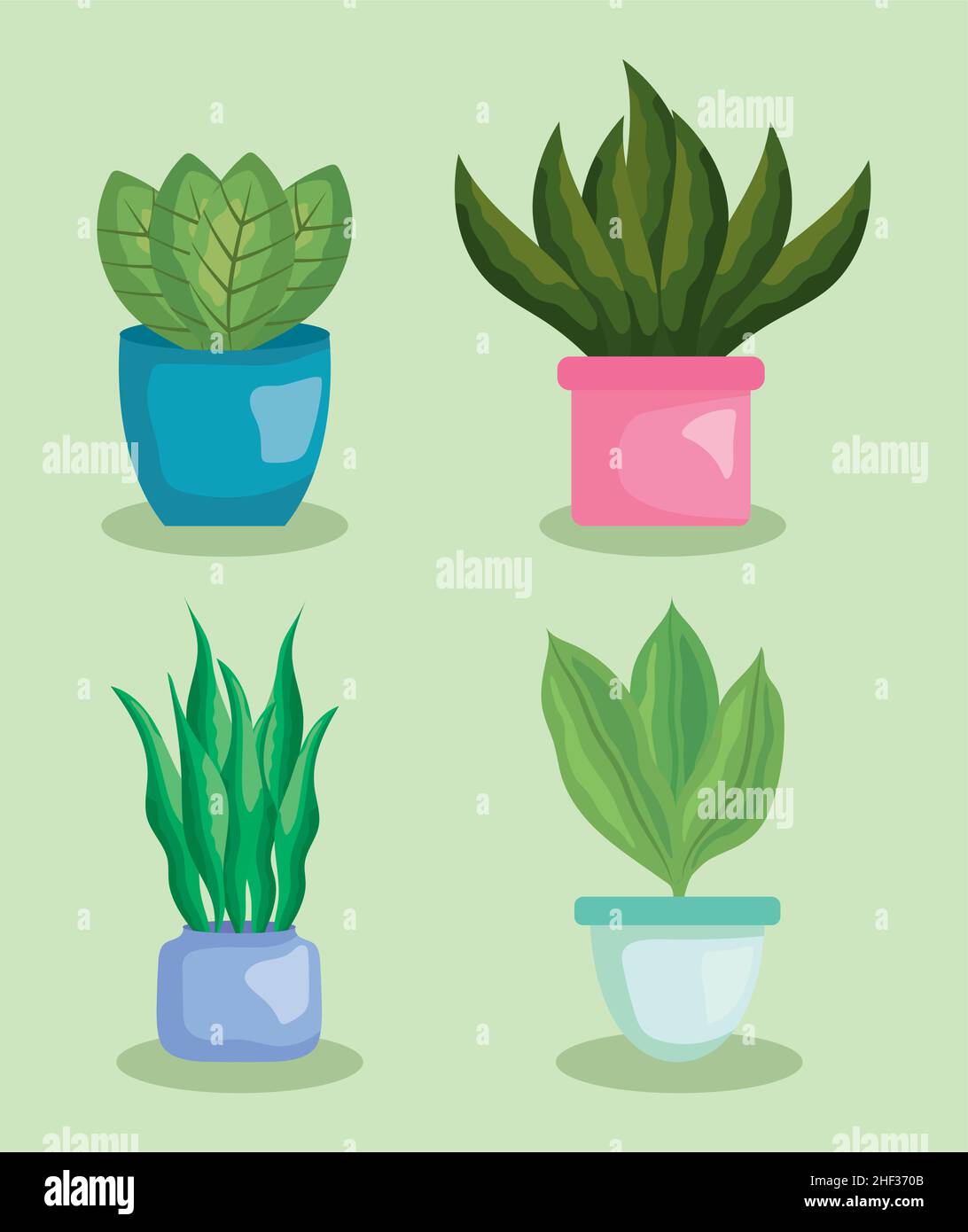 home plants icon set design Stock Vector Image & Art - Alamy