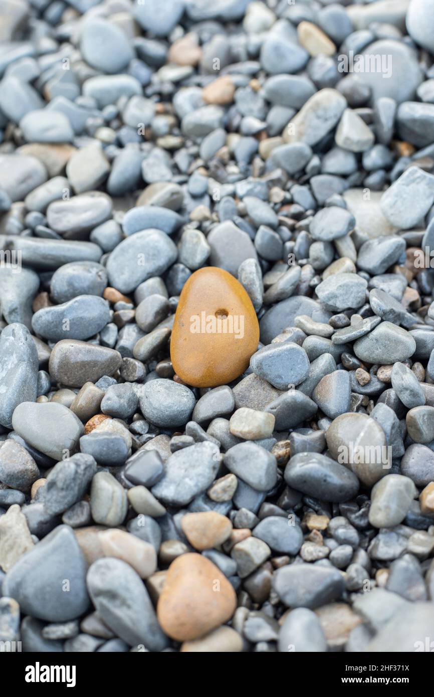 A unique and different from all the others Stock Photo - Alamy