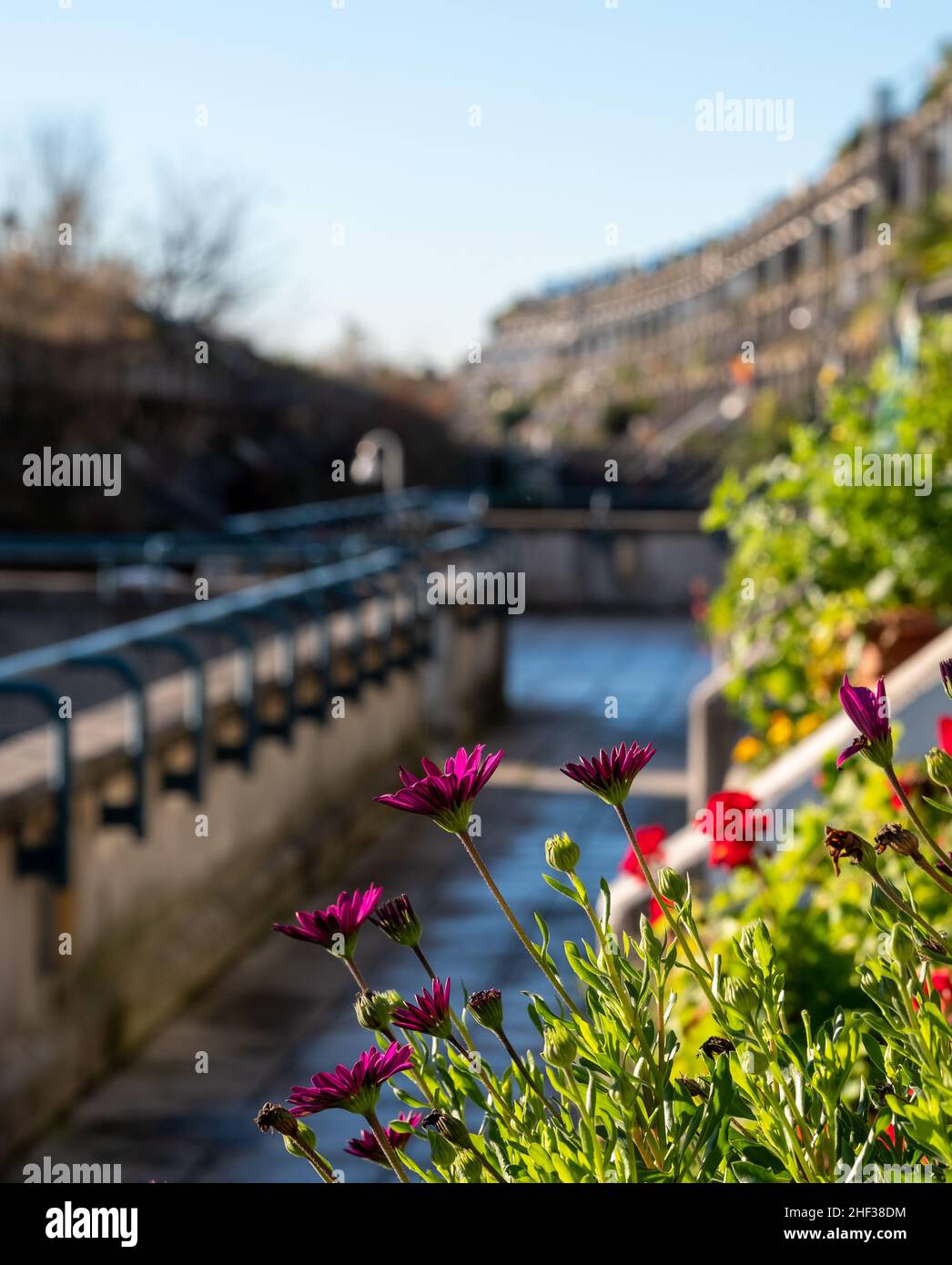 Brutalist Alexandra and Ainsworth Estate in Rowley Way, St John's Wood ...