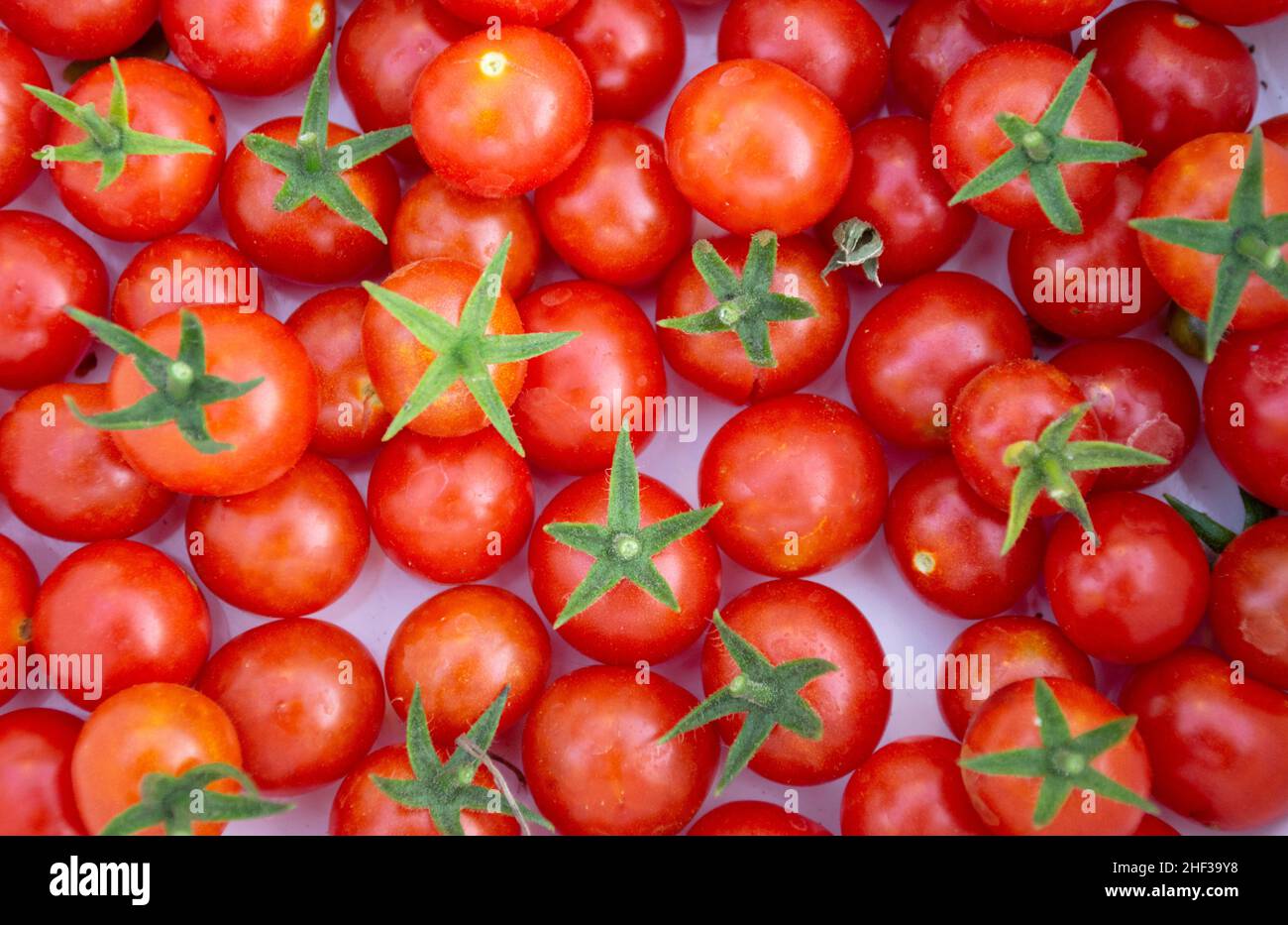 Natural cherry tomato close up with white background Stock Photo - Alamy