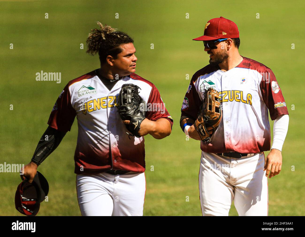 MAZATLAN, MEXICO - FEBRUARY 02: Willians Astudillo (L) of Caribes de ...