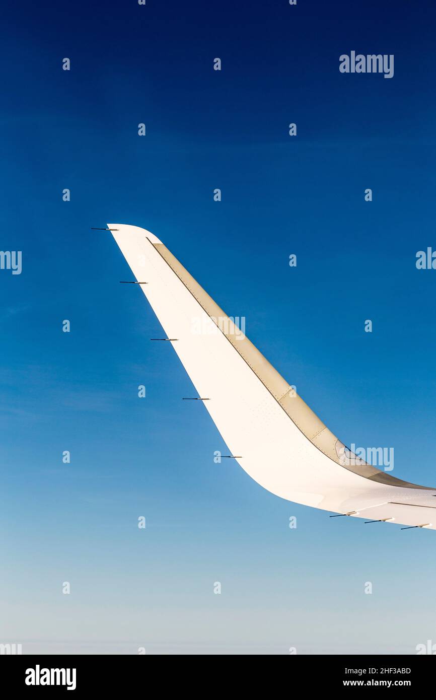 Take under wing hi-res stock photography and images - Alamy