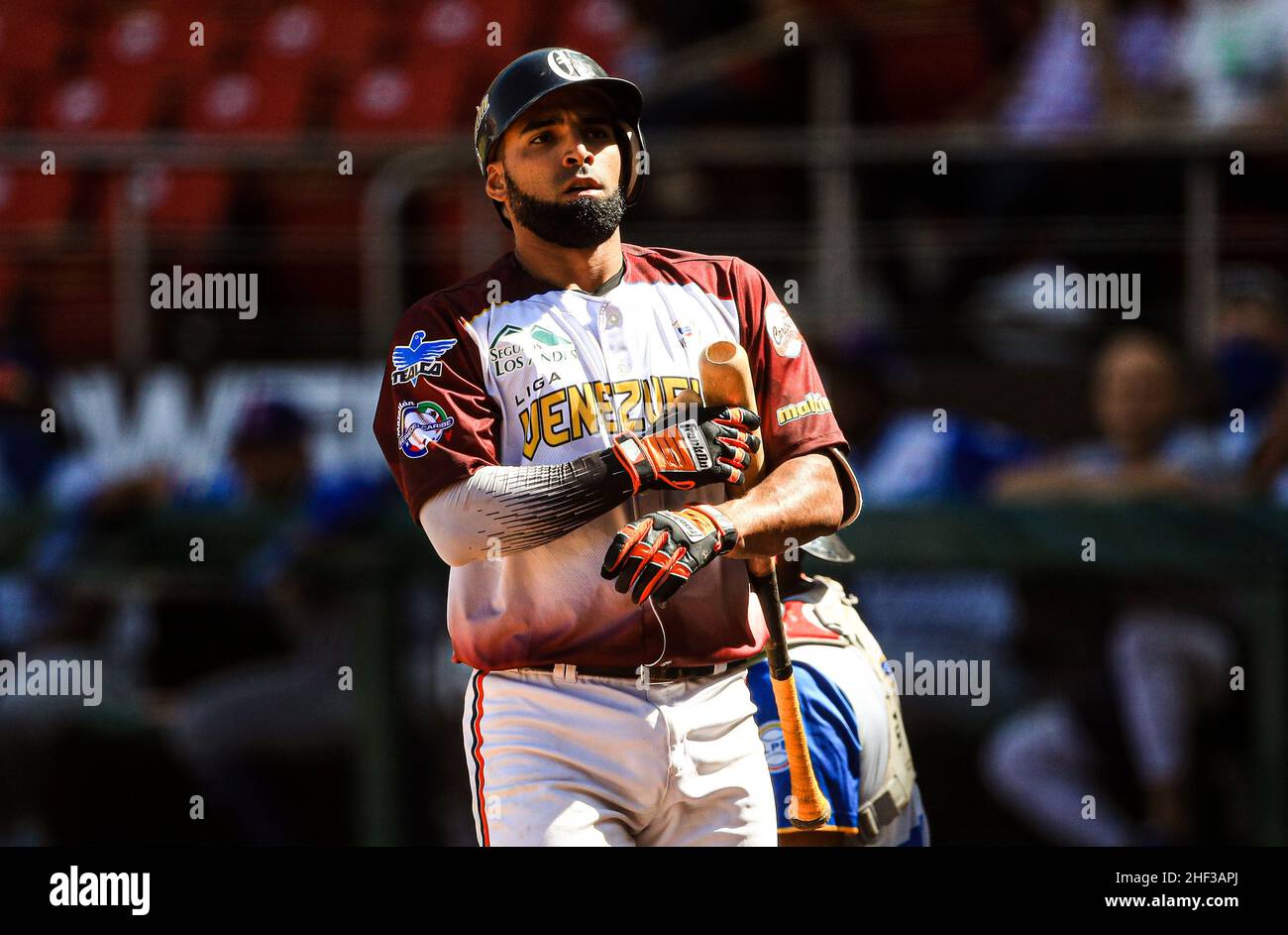 MAZATLAN, MEXICO - FEBRUARY 02: Ali Castillo of Los Caribes de ...