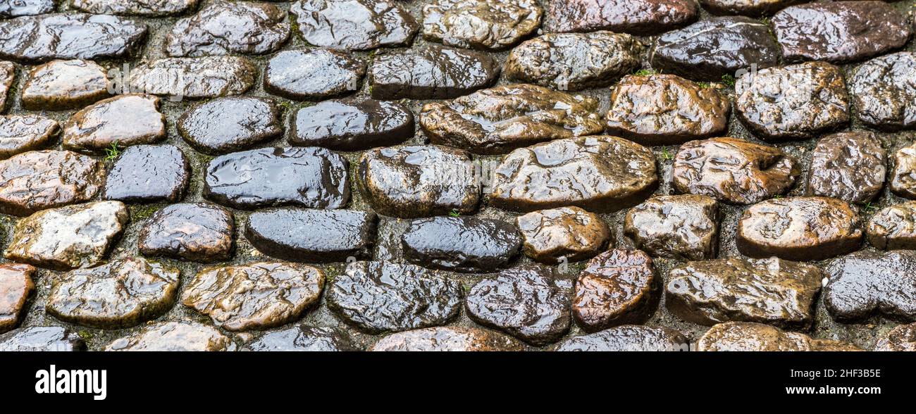 wet old historic cobble stone road Stock Photo - Alamy