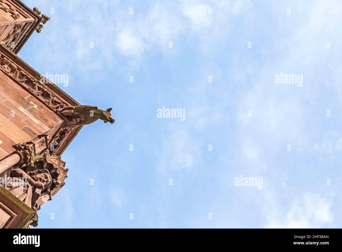 gargoyle witgh grimace at Freiburg Minster Stock Photo - Alamy