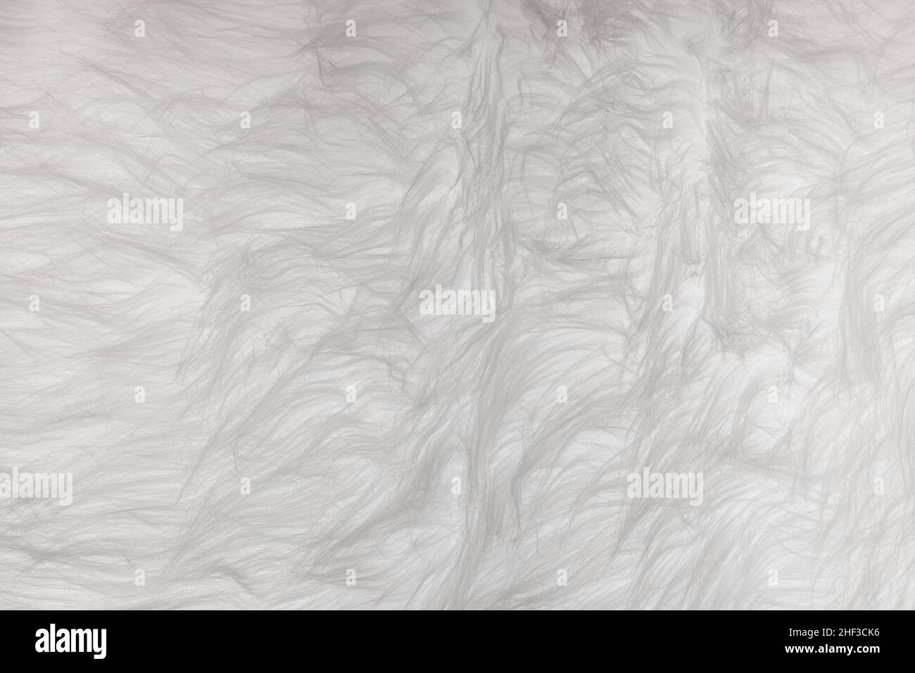 White fur texture hi-res stock photography and images - Alamy