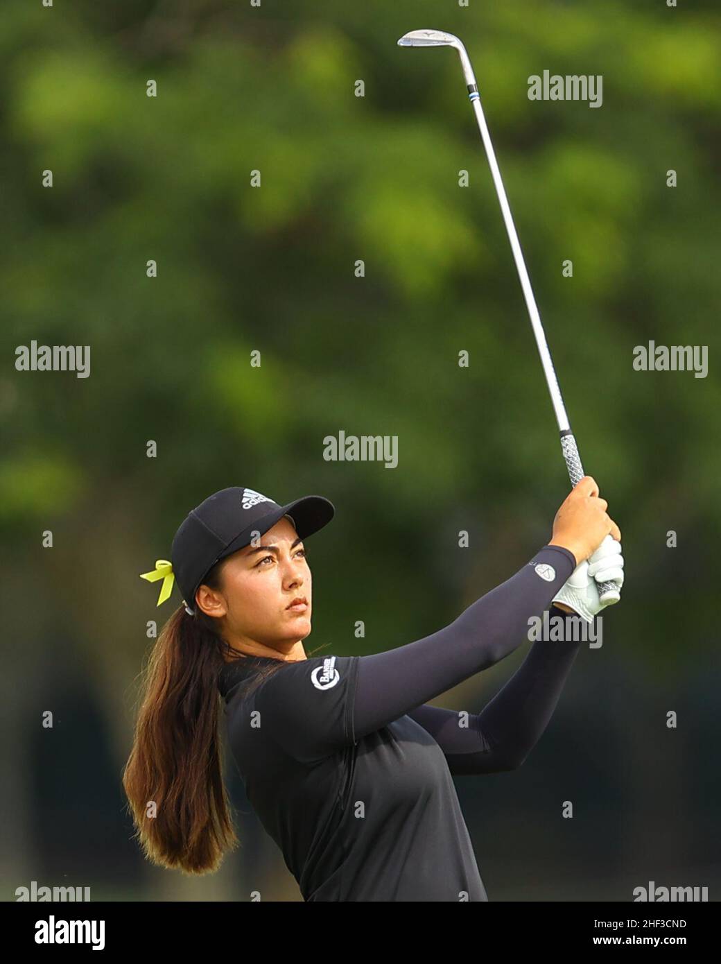 Stephanie bunque hi-res stock photography and images - Alamy