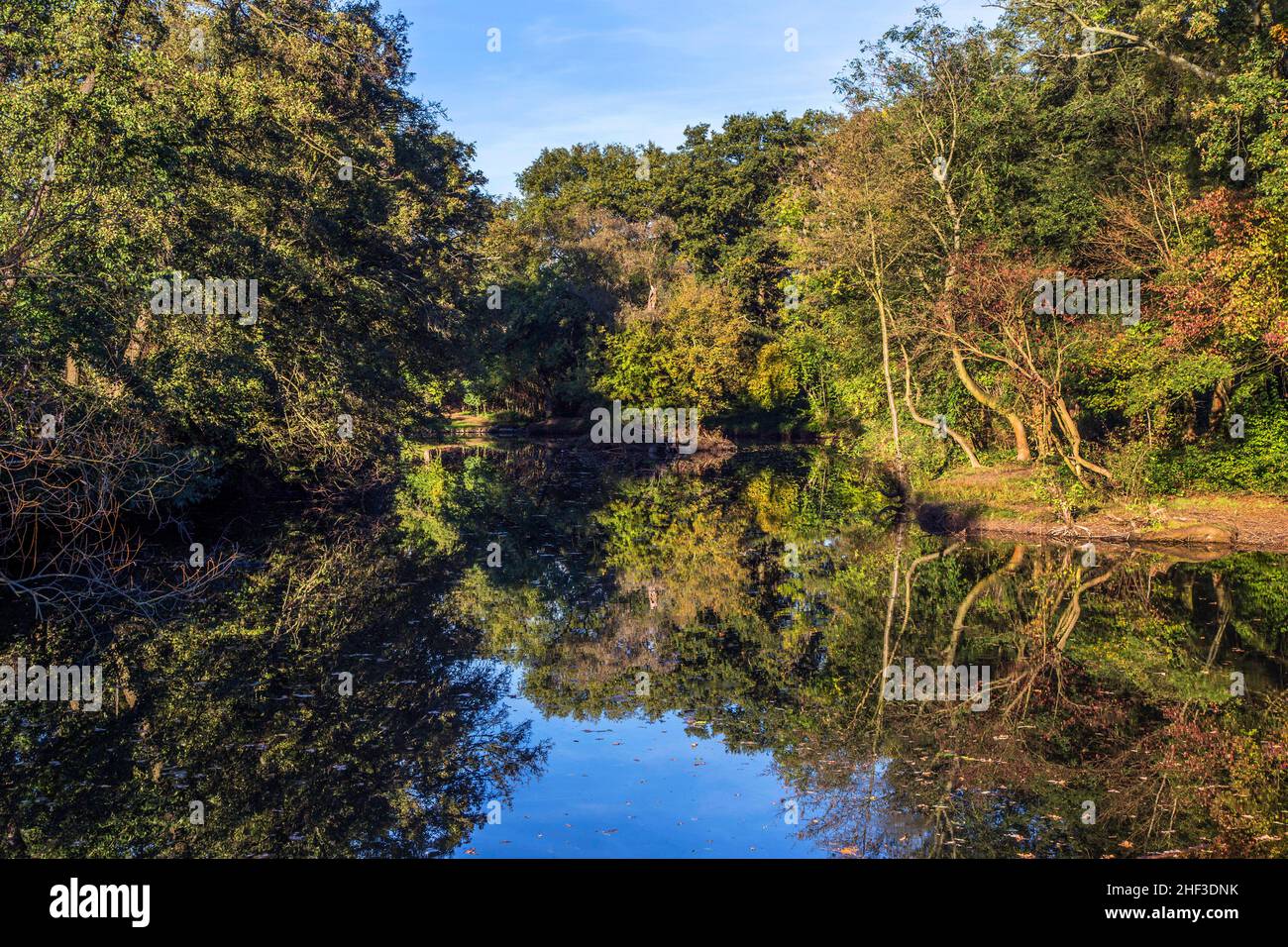 river landscape at river Nidda in Frankfurt Stock Photo - Alamy