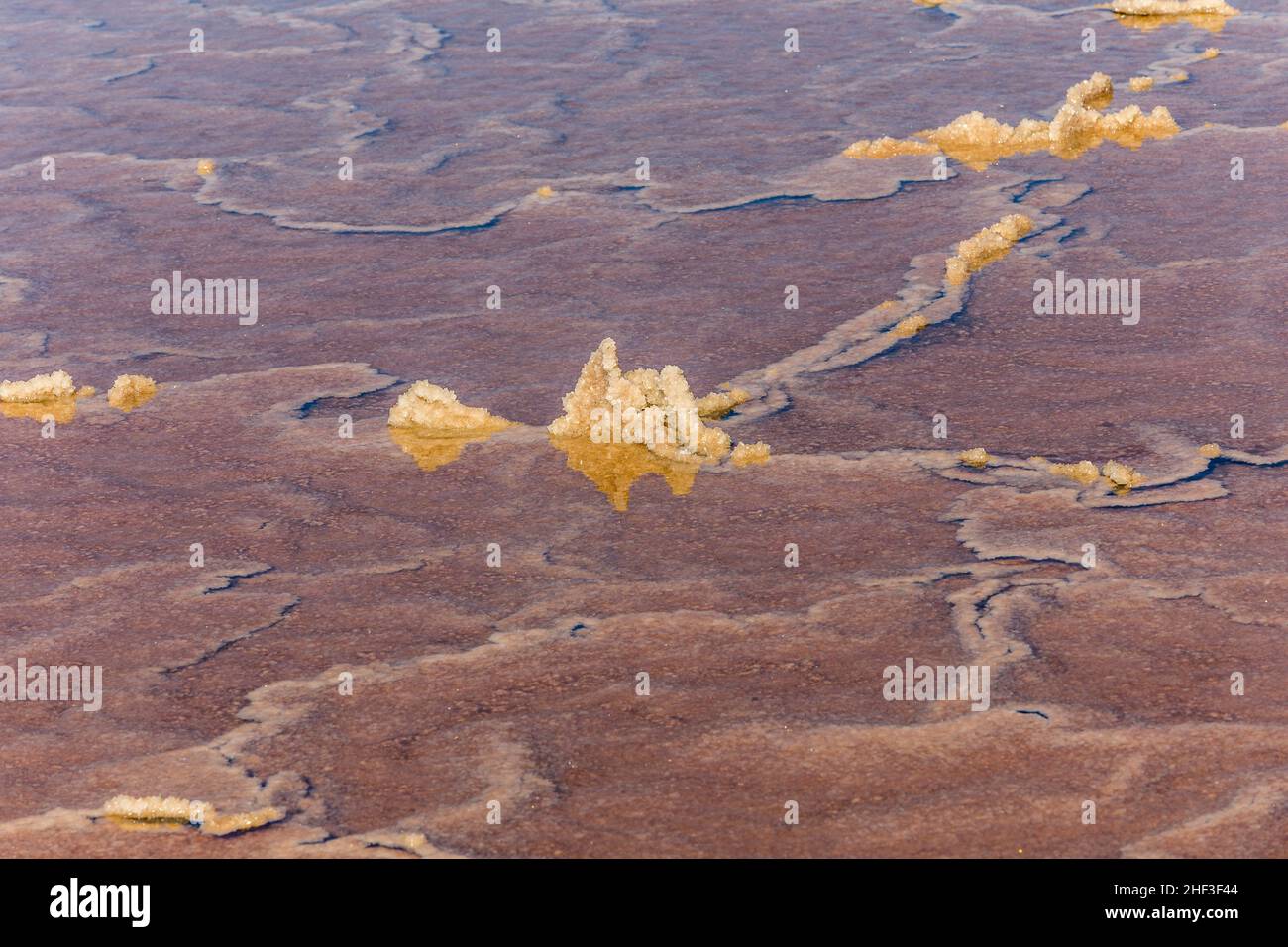 detail of salt basins in saline de Janubio Stock Photo - Alamy