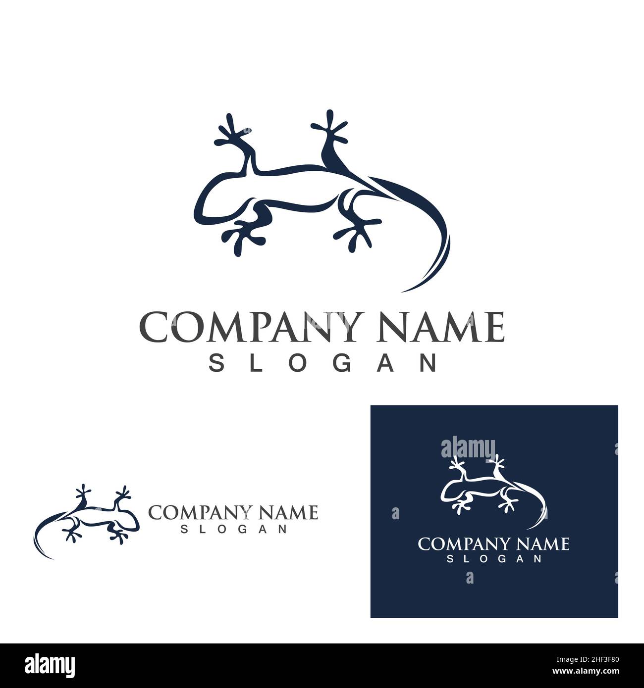 Lizard logo and symbols vector Stock Vector Image & Art - Alamy