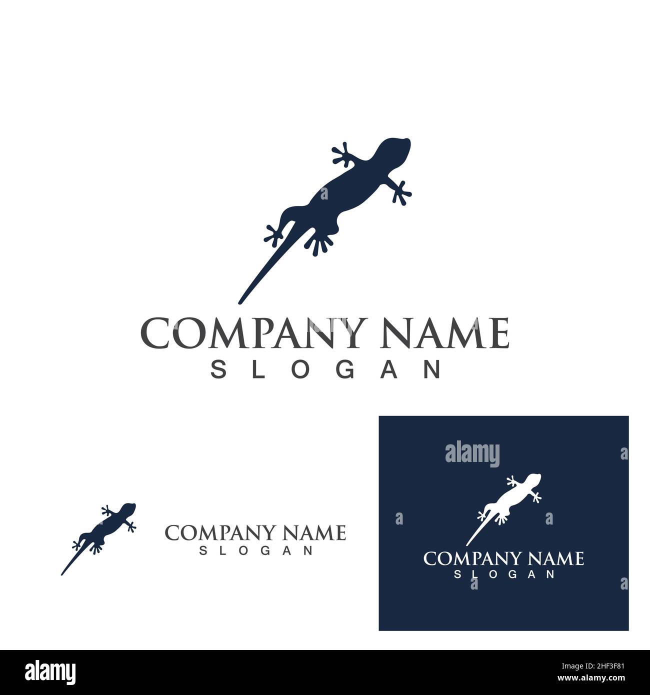 Lizard logo and symbols vector Stock Vector Image & Art - Alamy