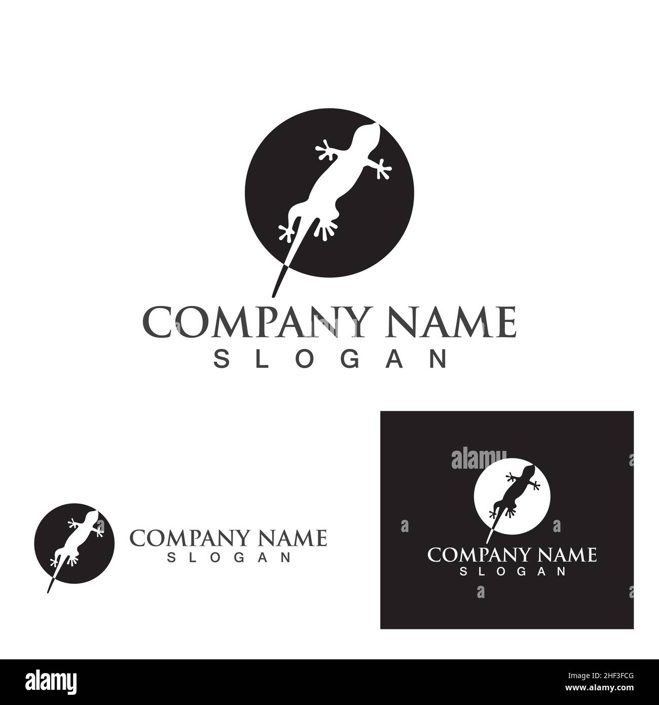 Lizard logo and symbols vector Stock Vector Image & Art - Alamy