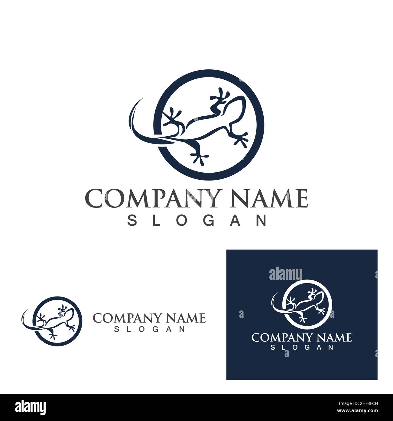 Lizard logo and symbols vector Stock Vector Image & Art - Alamy