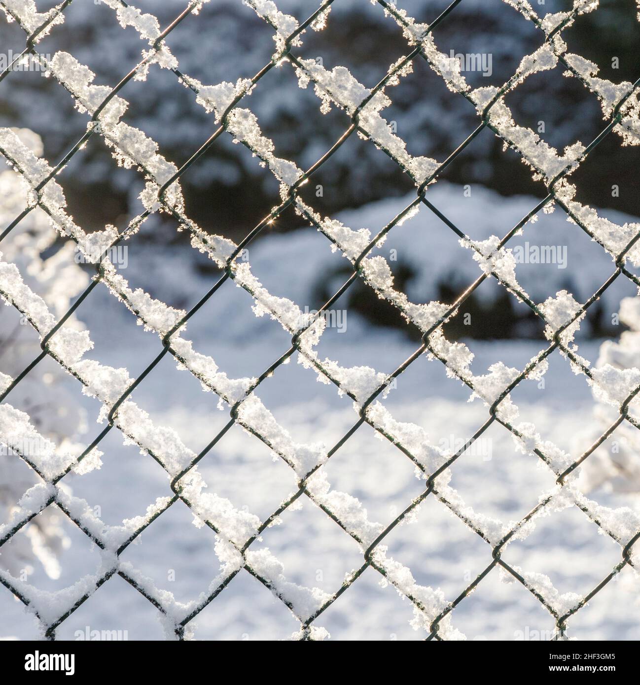 snow covered white metal fence in winter Stock Photo - Alamy