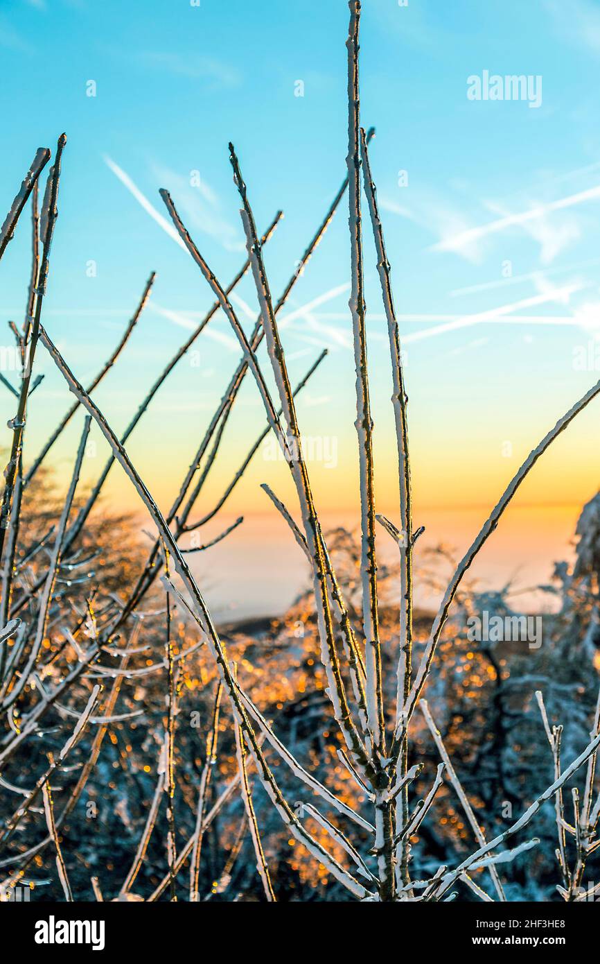 sunrise under the winter calm mountain landscape with beautiful fir ...