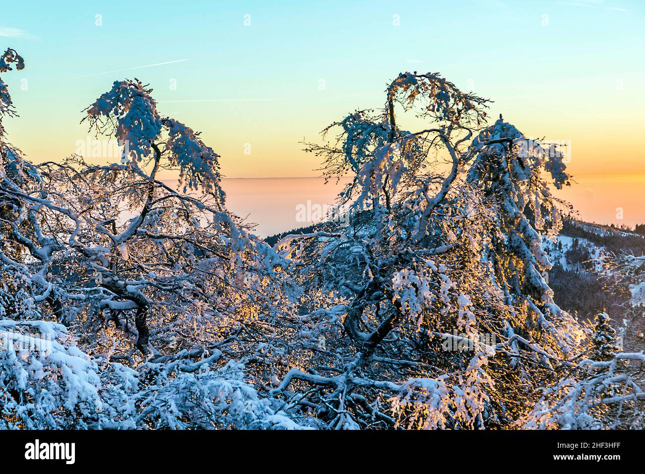 sunrise under the winter calm mountain landscape with beautiful fir ...