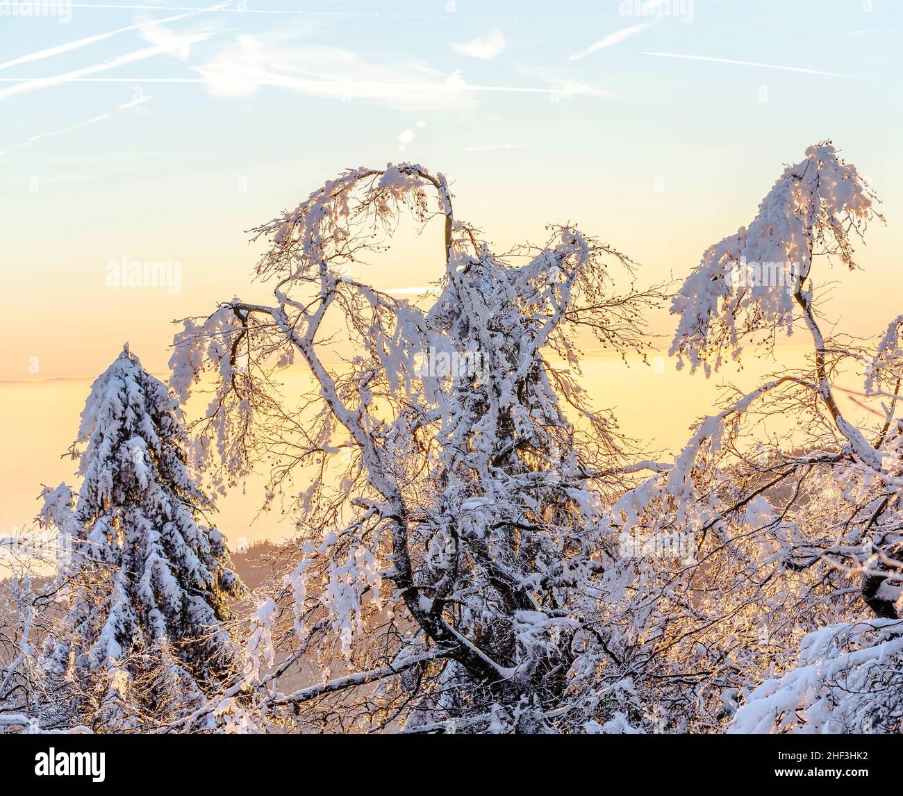 sunrise under the winter calm mountain landscape with beautiful fir ...