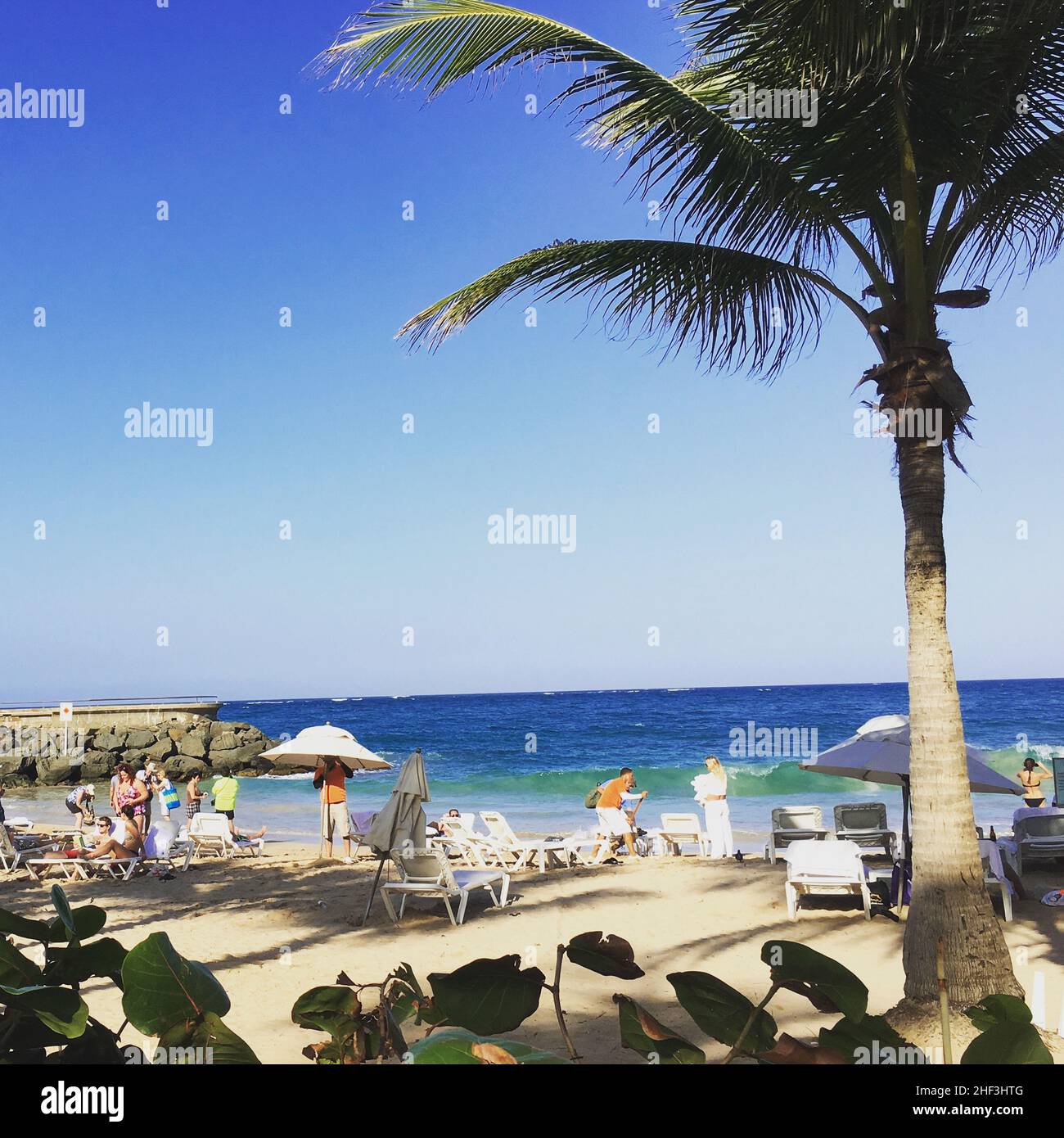 Puerto Rico resort beach and lounge chairs Stock Photo - Alamy