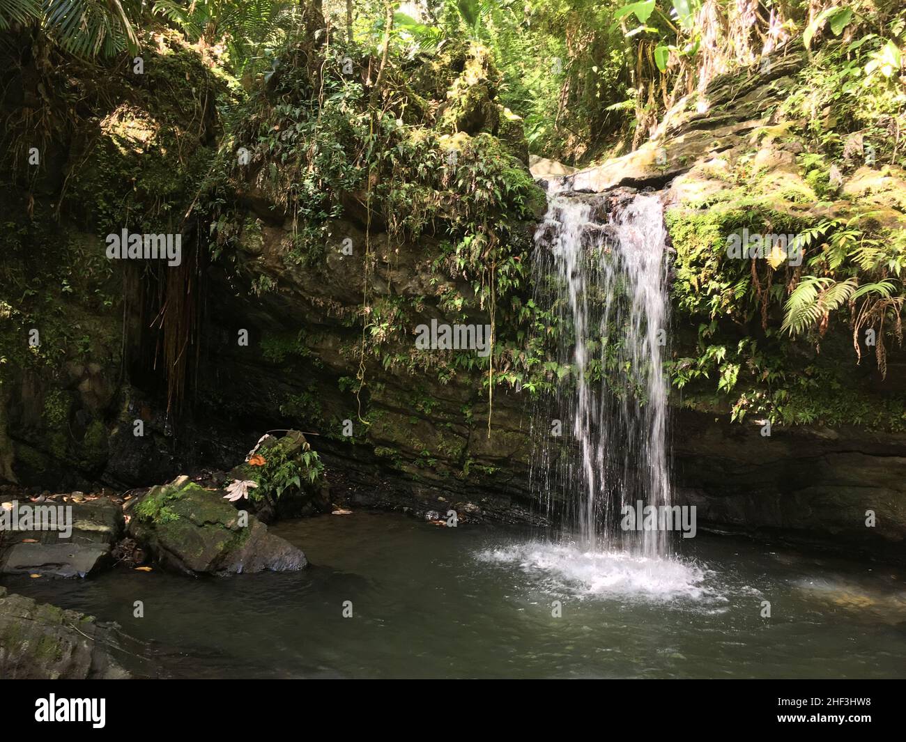 Puerto Rico waterfall Stock Photo - Alamy