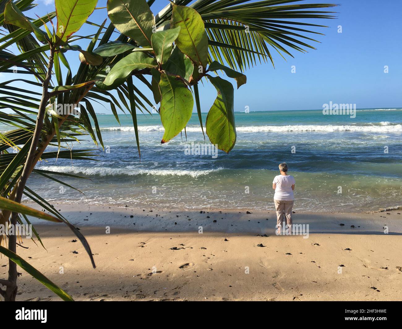 El yunque national forest beach hi-res stock photography and images - Alamy