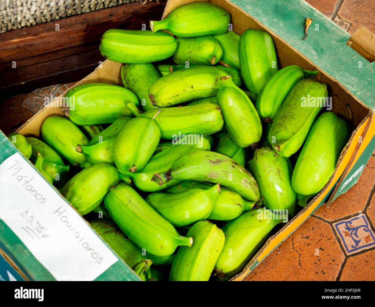 Plantanos, Plantains, Cooking bananas Stock Photo - Alamy