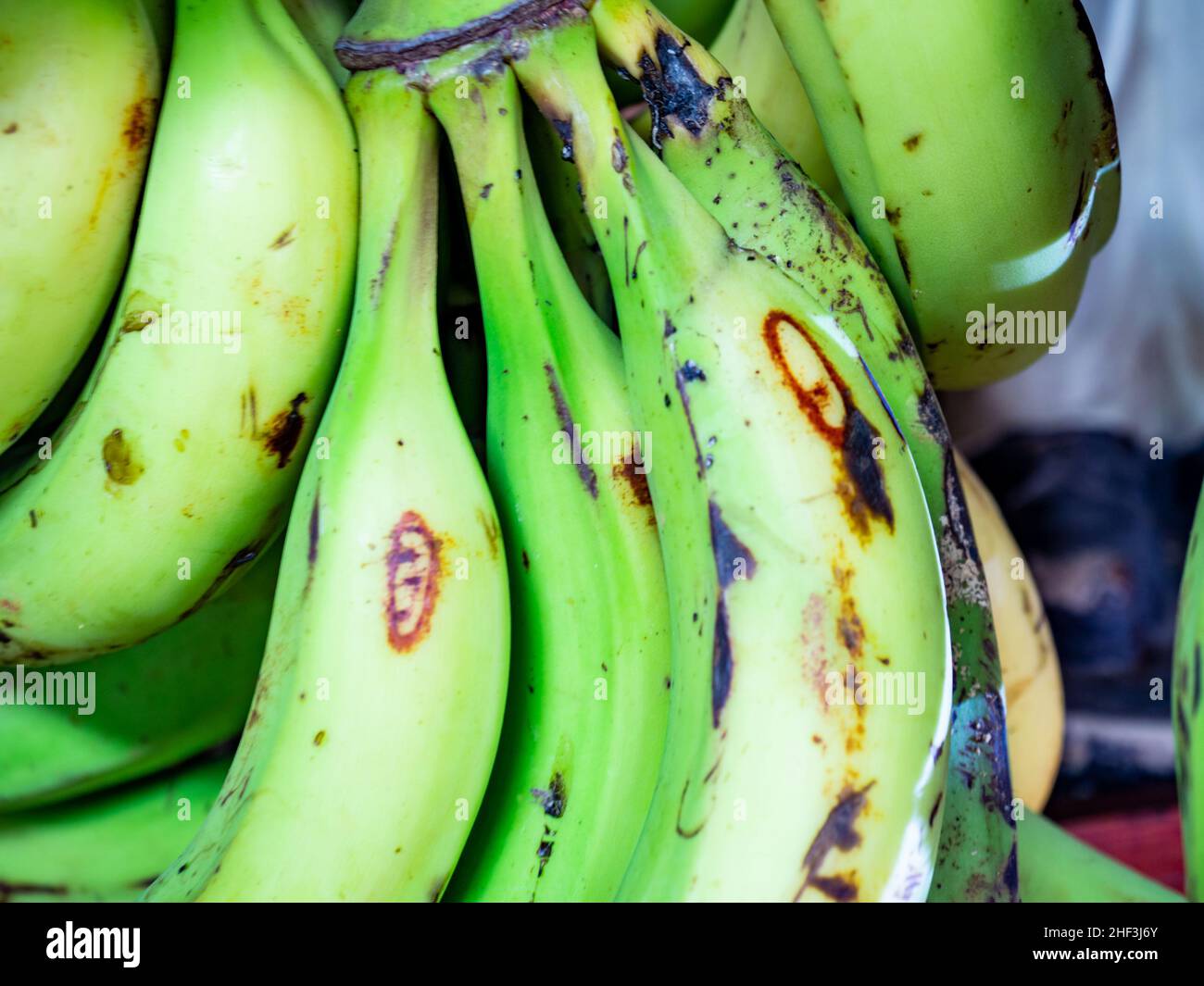 Plantanos, Plantains, Cooking bananas Stock Photo - Alamy
