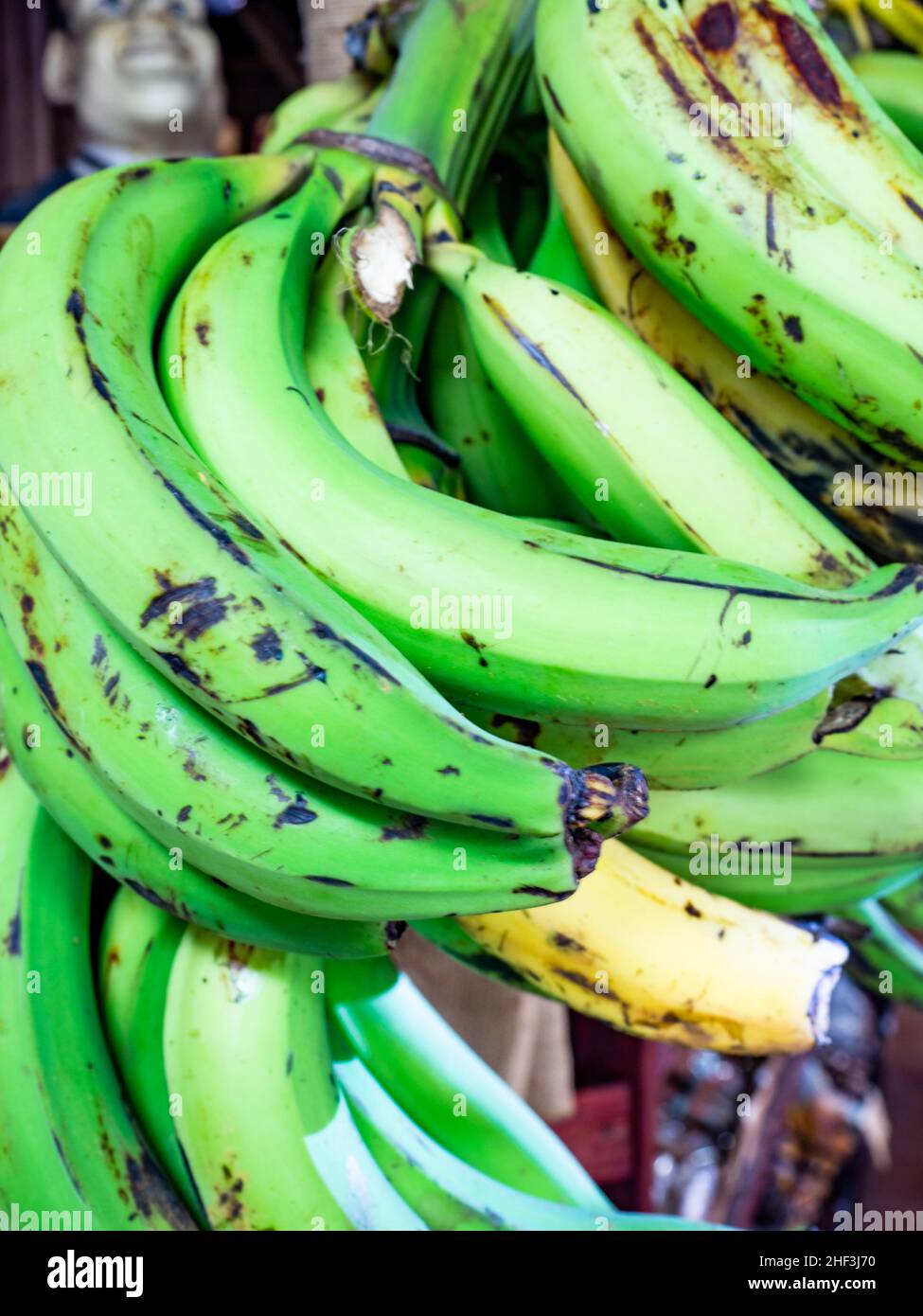 Plantanos, Plantains, Cooking bananas Stock Photo - Alamy