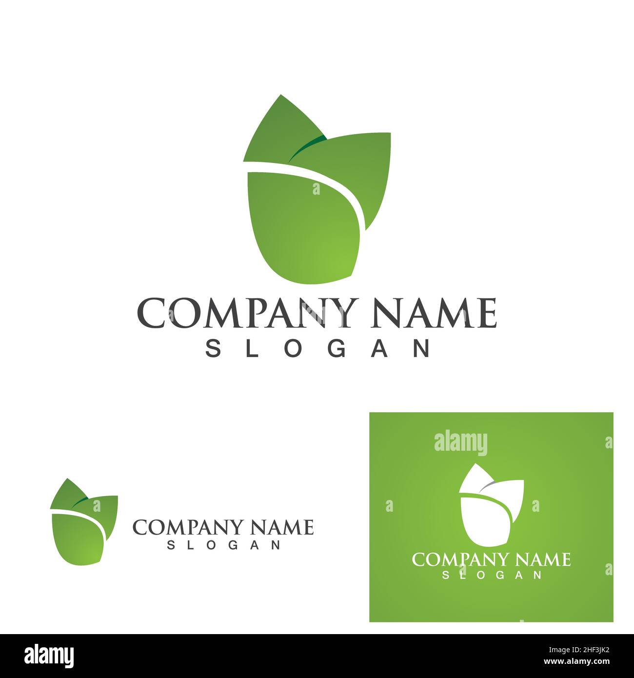 Tea leaf green plantation logo and symbol Stock Vector Image & Art - Alamy