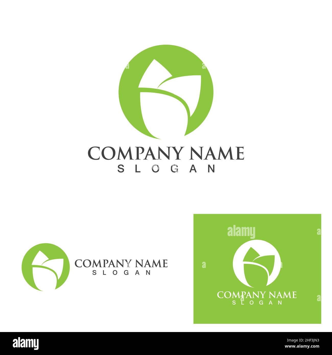 Tea leaf green plantation logo and symbol Stock Vector Image & Art - Alamy