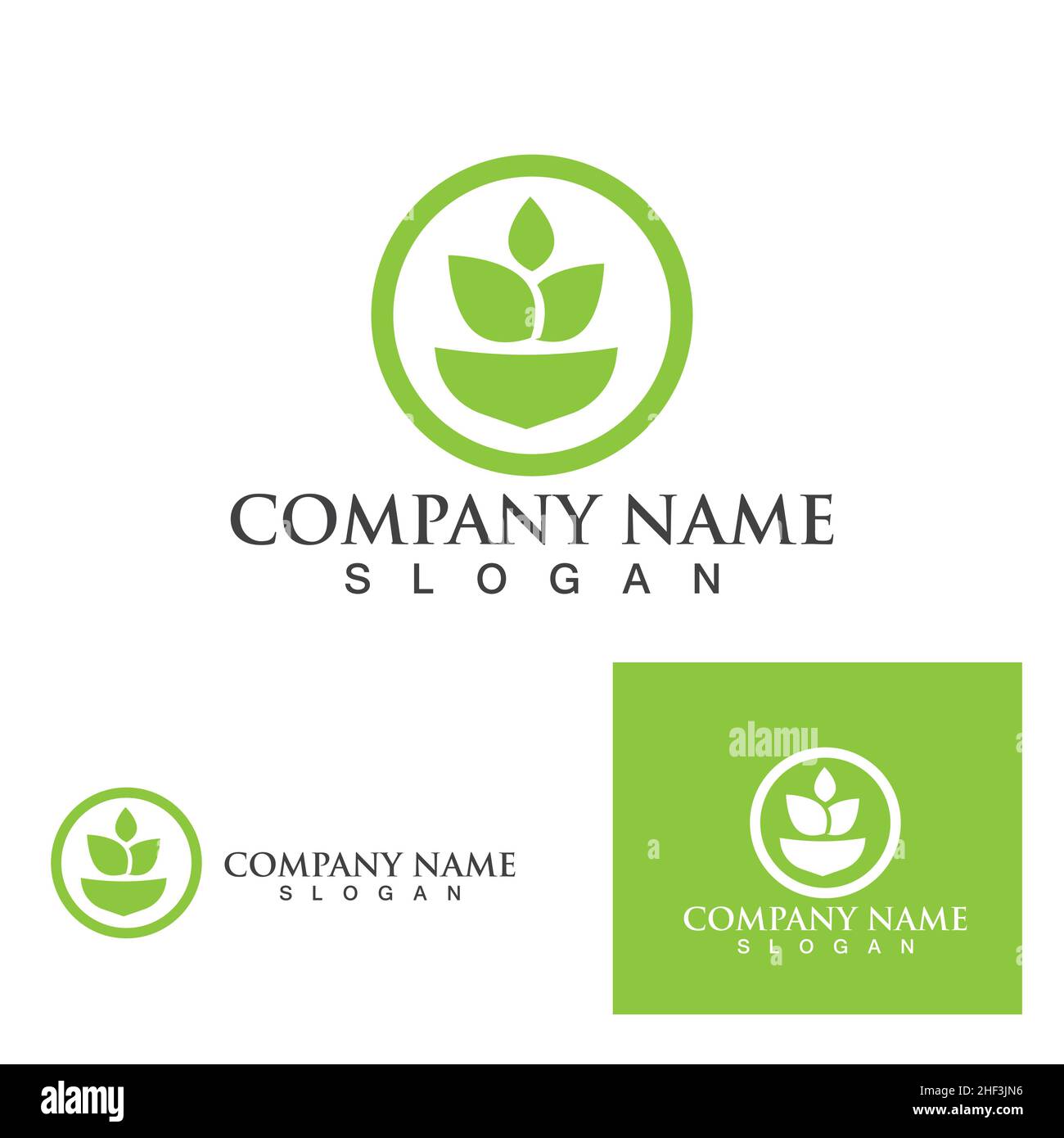 Closeup green tea leaves Stock Vector Images - Alamy