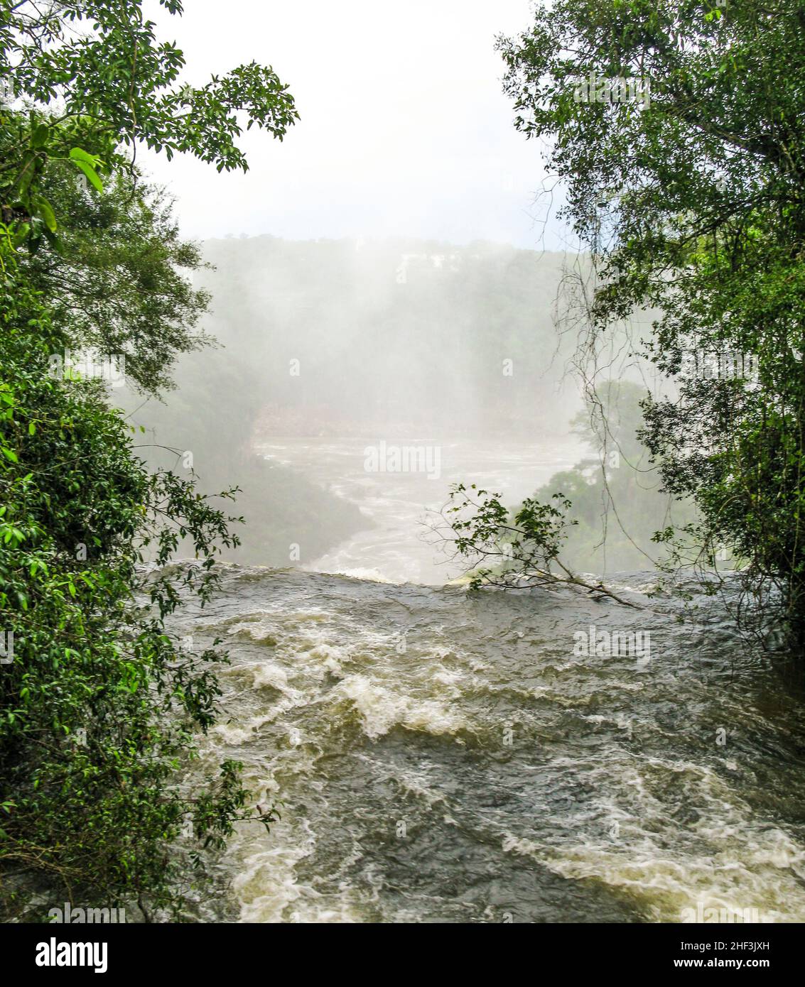 Iguassu waterfall in south america tropical jungle with a massive flow ...