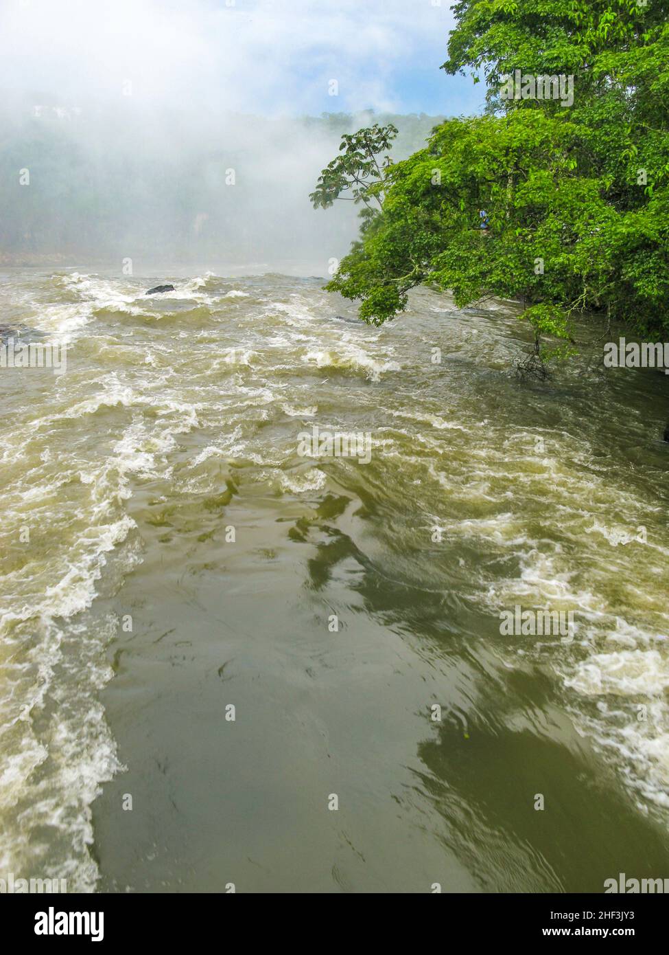 Iguassu waterfall in south america tropical jungle with a massive flow ...
