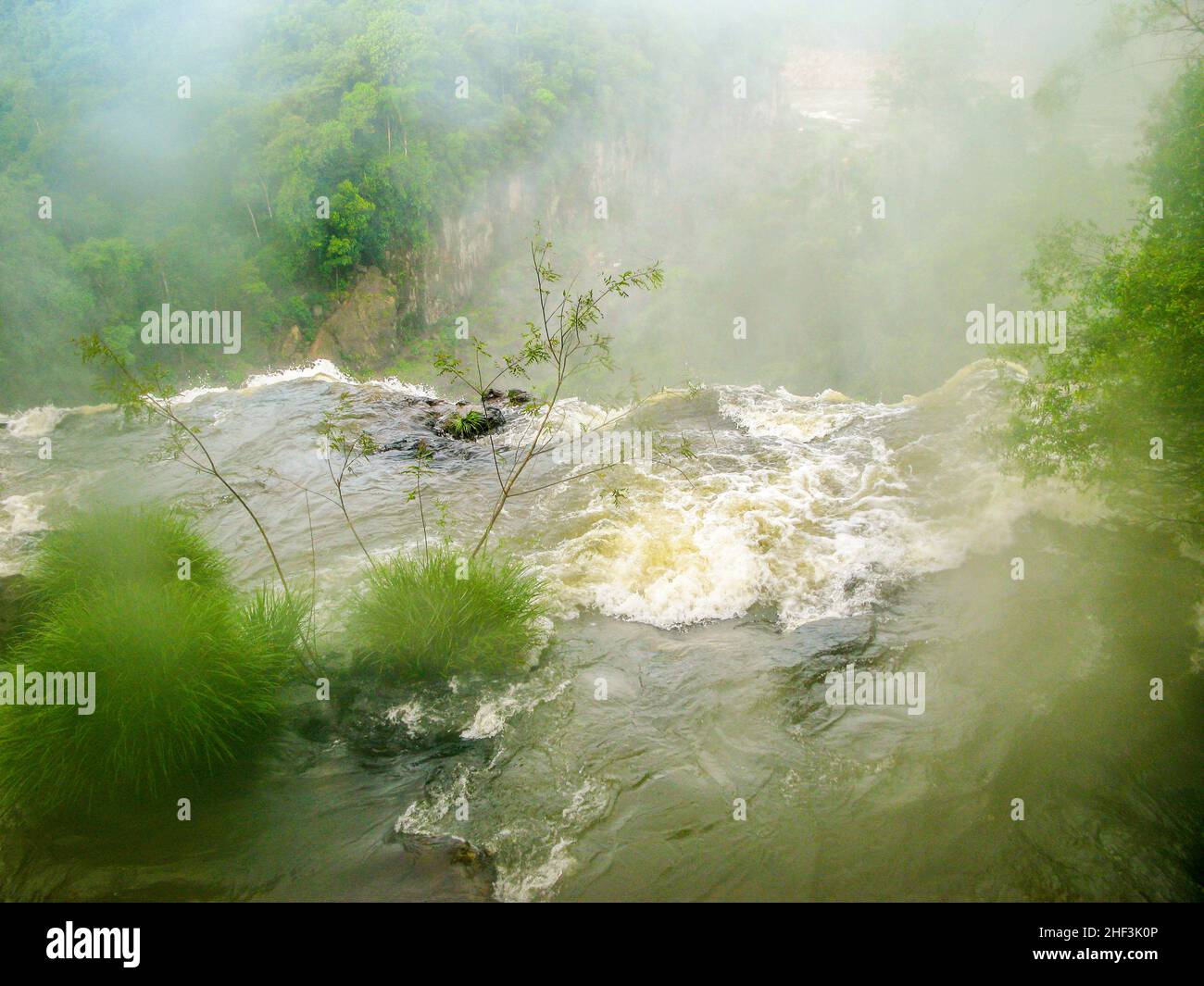 Iguassu waterfall in south america tropical jungle with a massive flow ...