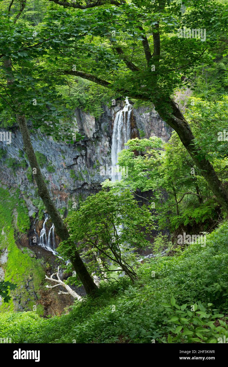 Nikko national park hi-res stock photography and images - Alamy