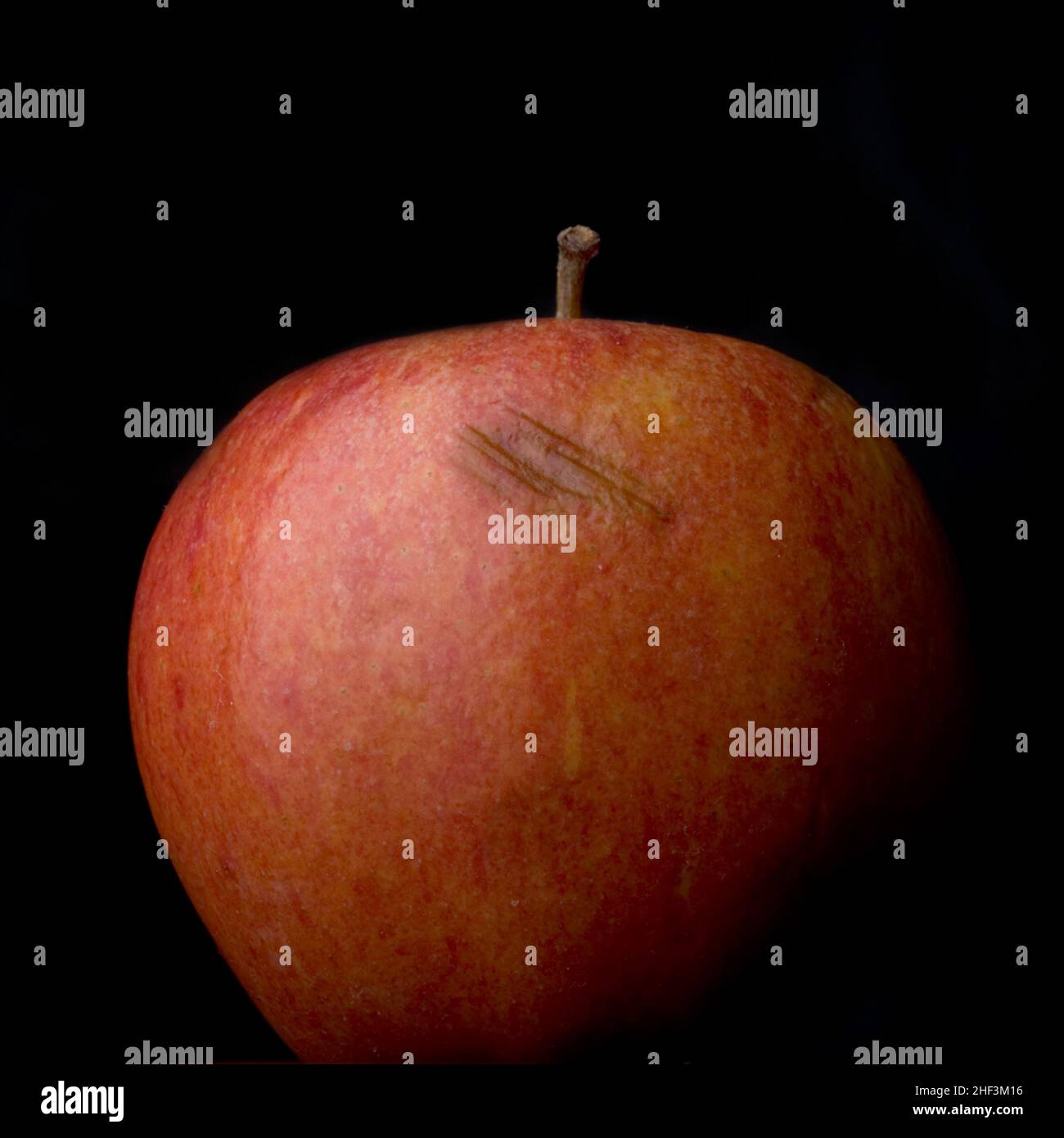 One Bad Apple On Black Stock Photo - Alamy