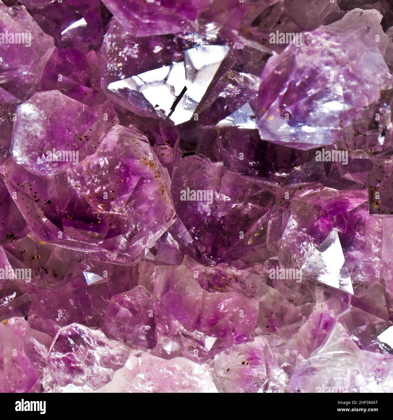 Brazilian jewels hi-res stock photography and images - Alamy