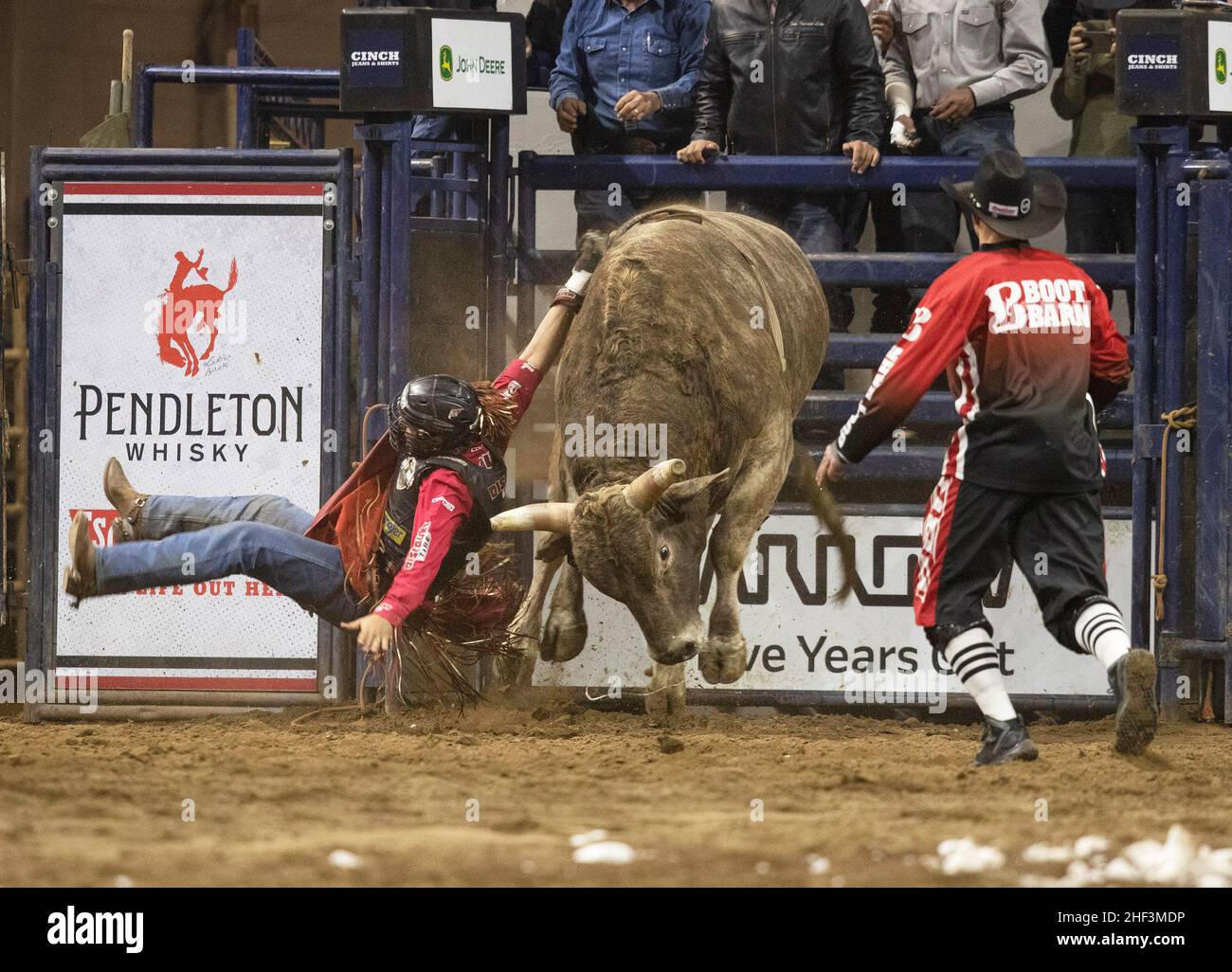 Bull rider chute hi-res stock photography and images - Alamy