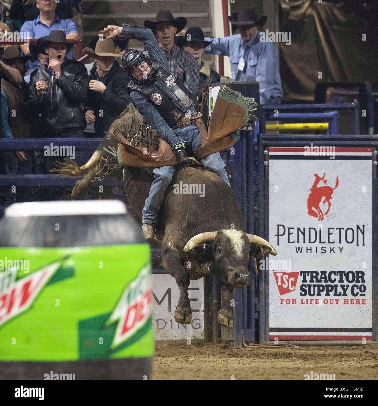 Denver, Colorado, USA. 12th Jan, 2022. Bull Rider ASHTON SAHIL, of Red ...